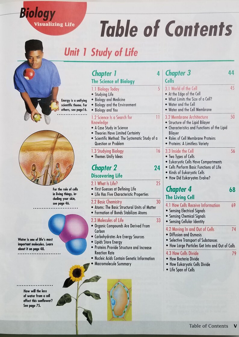 Biology: Visualizing Life Textbook - George B. Johnson, Science ...