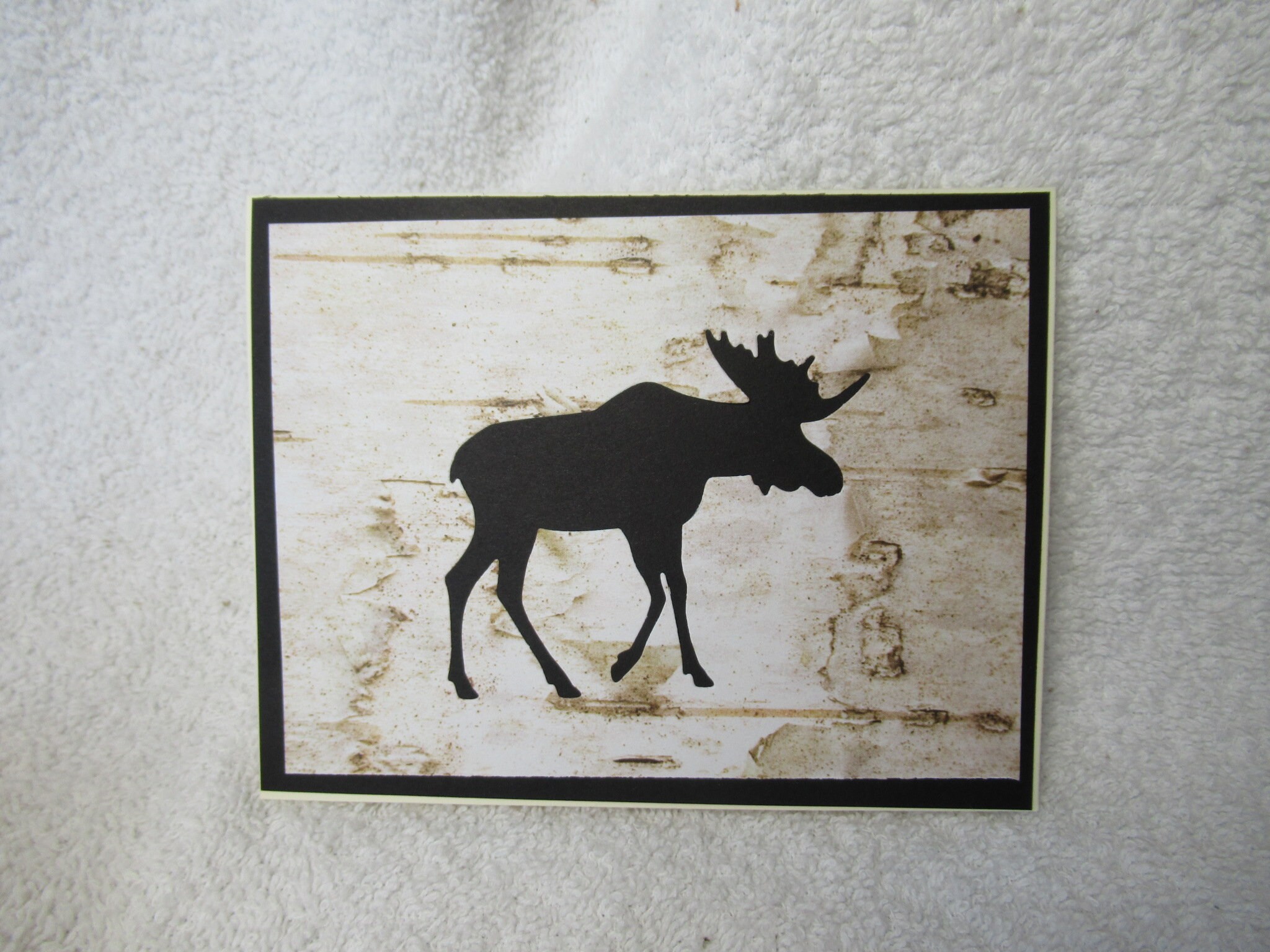 Blank Note Card With Cut Out Moose on Birch Tree Background, Blank ...