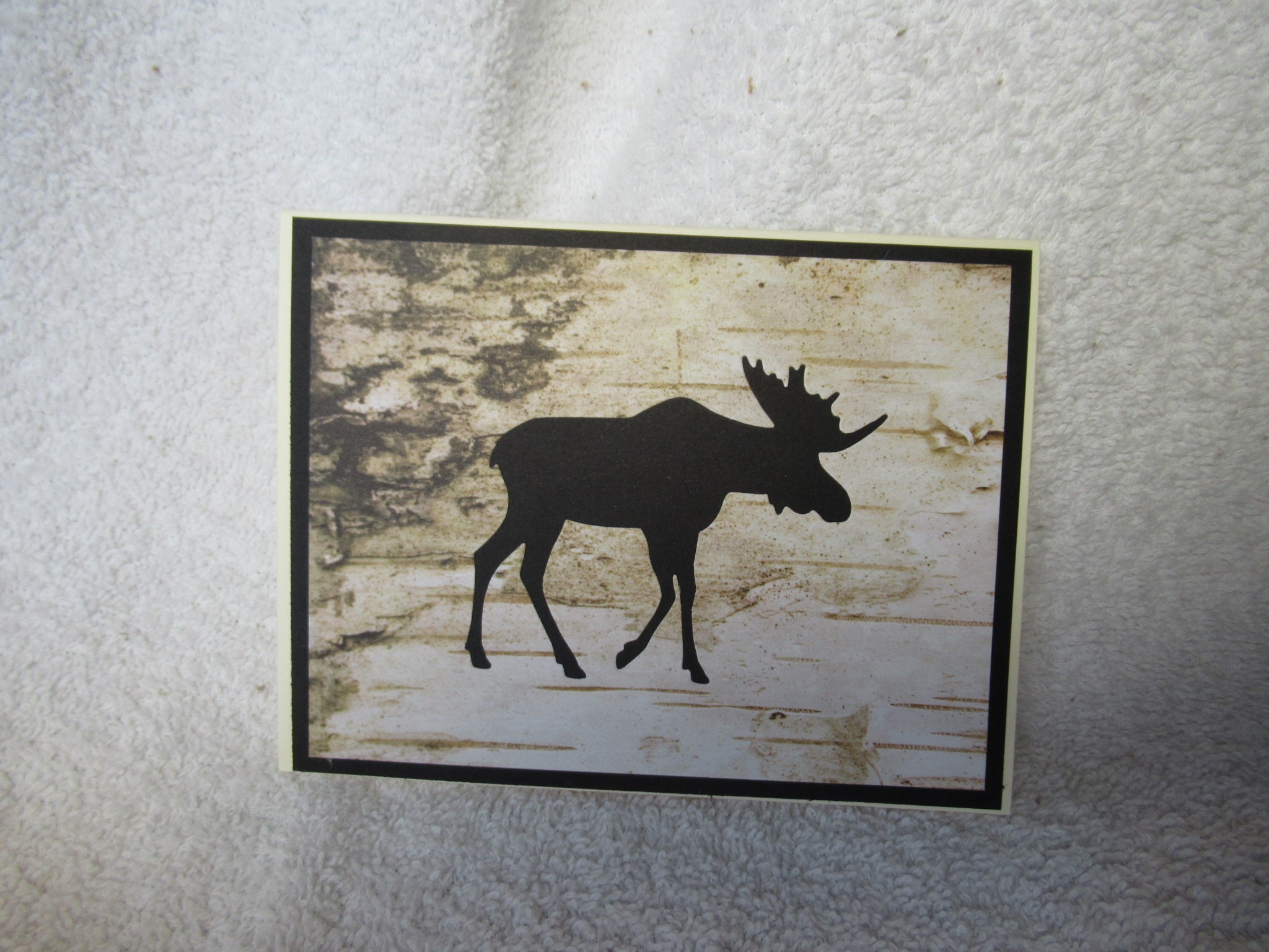 Blank Note Card With Cut Out Moose on Birch Tree Background, Blank ...