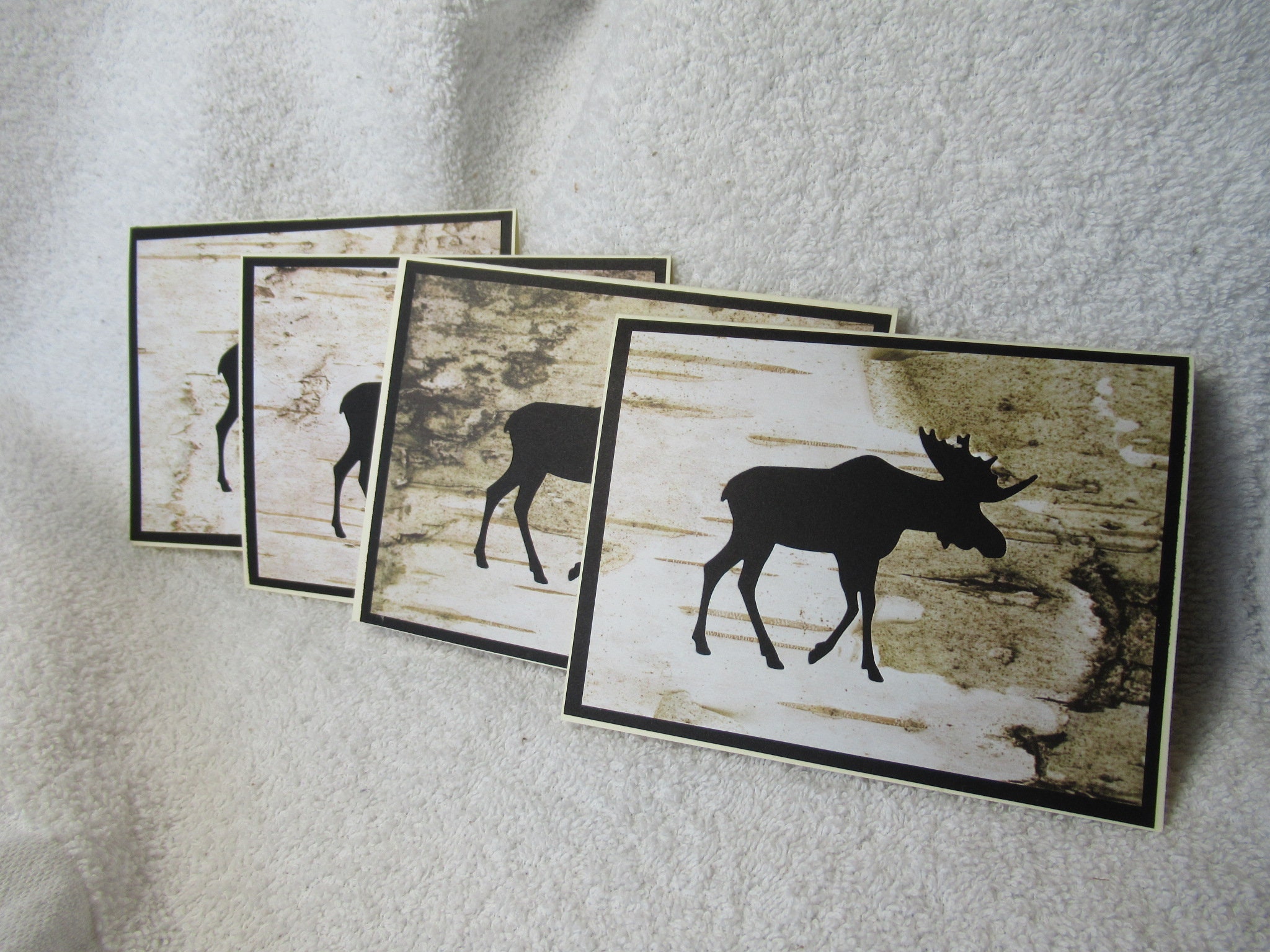Blank Note Card With Cut Out Moose on Birch Tree Background, Blank ...