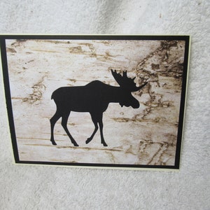 Blank Note Card With Cut Out Moose on Birch Tree Background, Blank ...