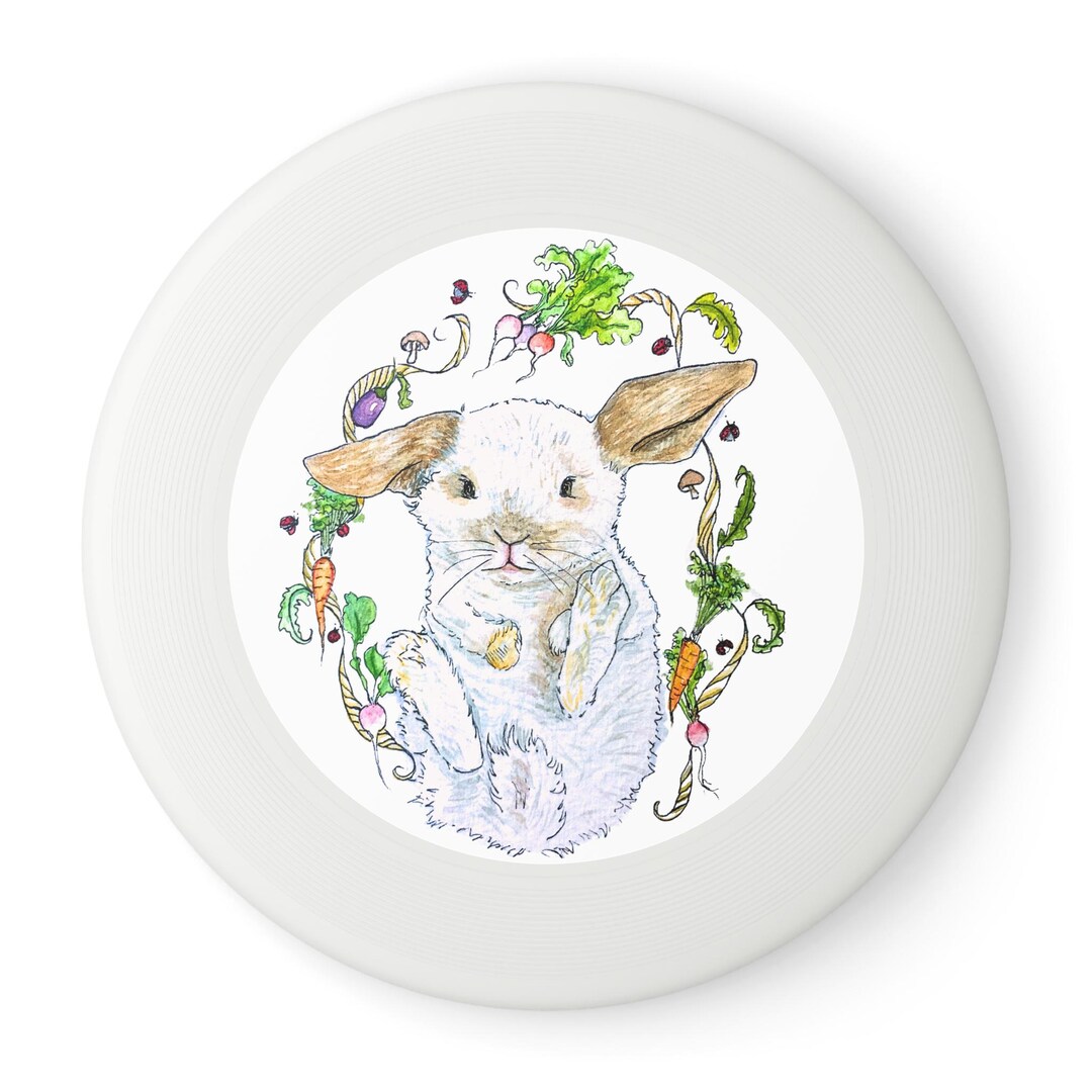 Cute Bunny Design Frisbee, Fun Outdoor Game for Adults & Kids, Perfect ...