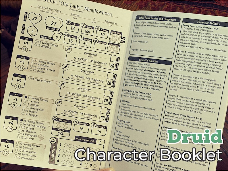 DRUID ADVENTURER'S BUNDLE for Dnd 5e - Etsy