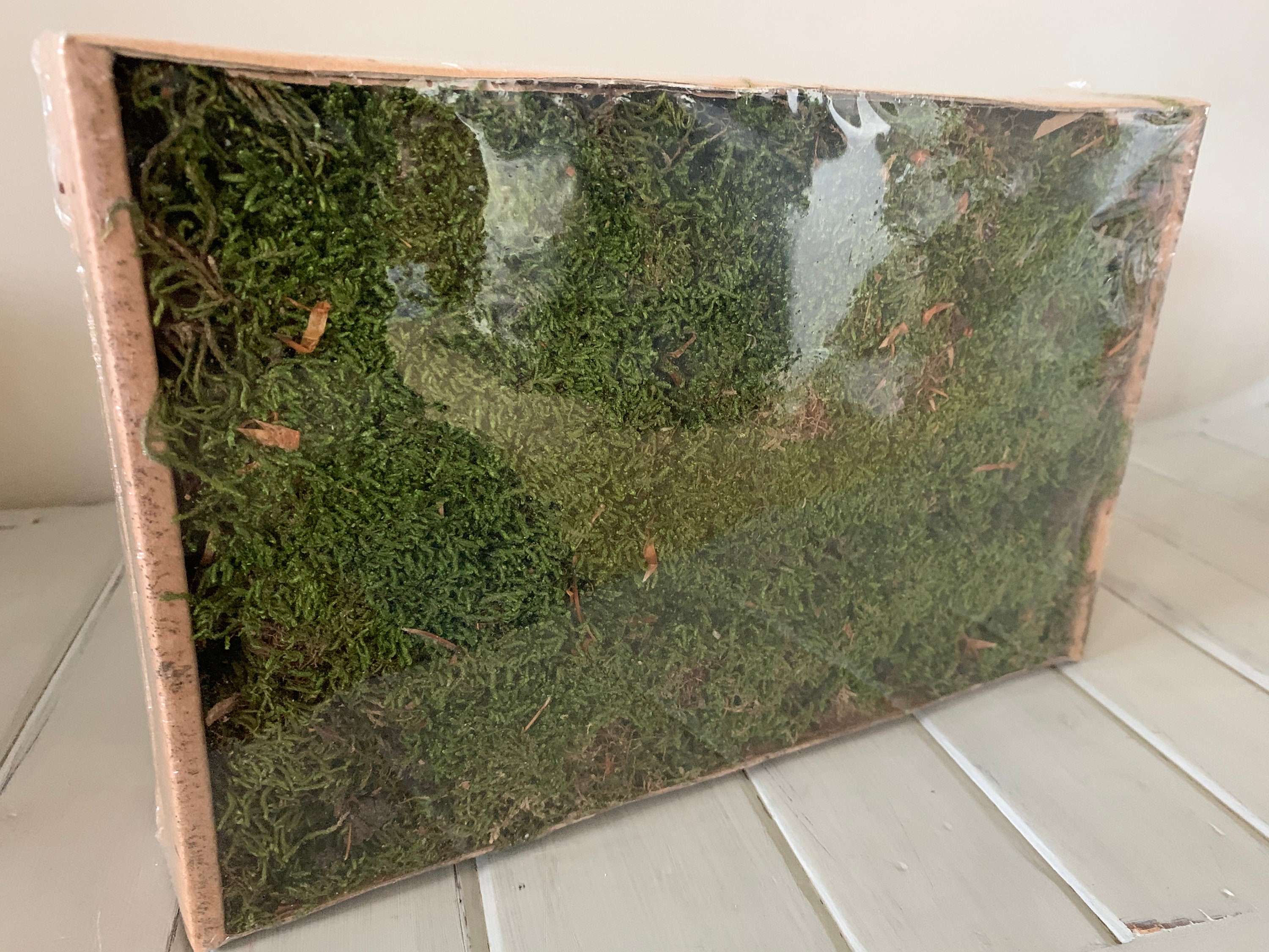 Mrs Hinch Inspired Diy Moss Bowl X1 Box of Dried Green Moss - Etsy UK