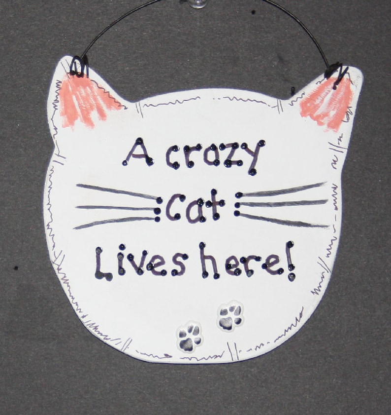 Funny Cat Sign | A Crazy Cat Lives Here! | Cat Gift | Cat Lover | Pet ...