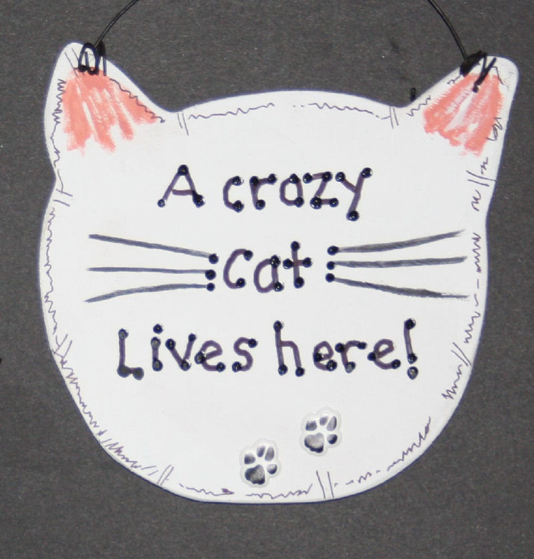 Funny Cat Sign | A Crazy Cat Lives Here! | Cat Gift | Cat Lover | Pet ...