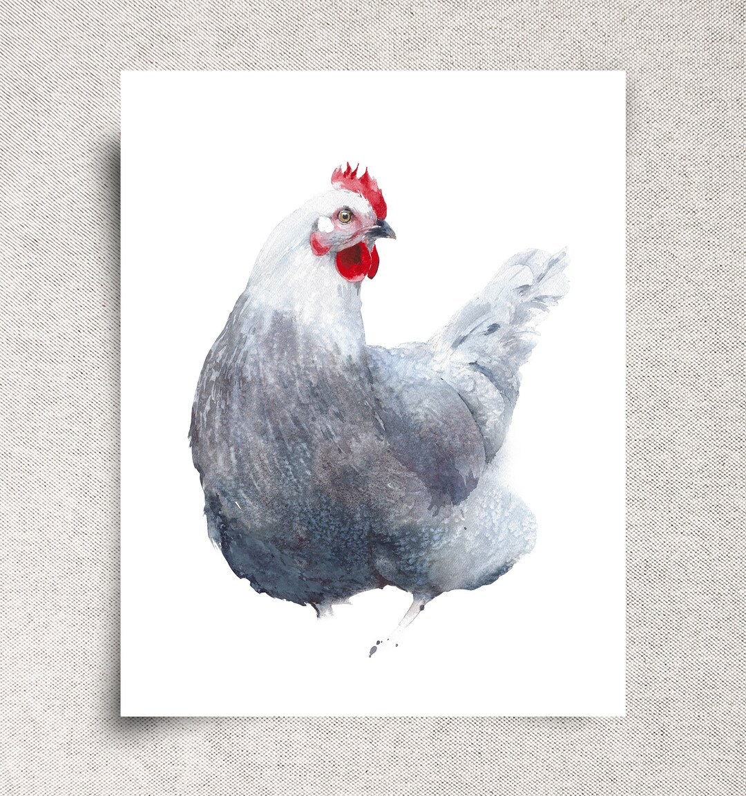 Chicken ORIGINAL Watercolor Painting, Blue Orpington Hen Wall Art ...