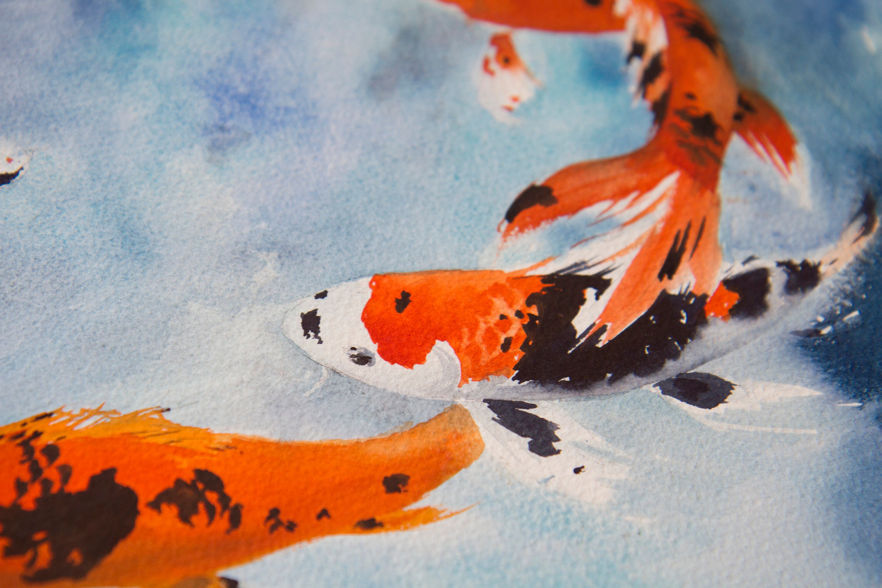 Koi Original Watercolor Painting Fish Wall Art Home Decor | Etsy