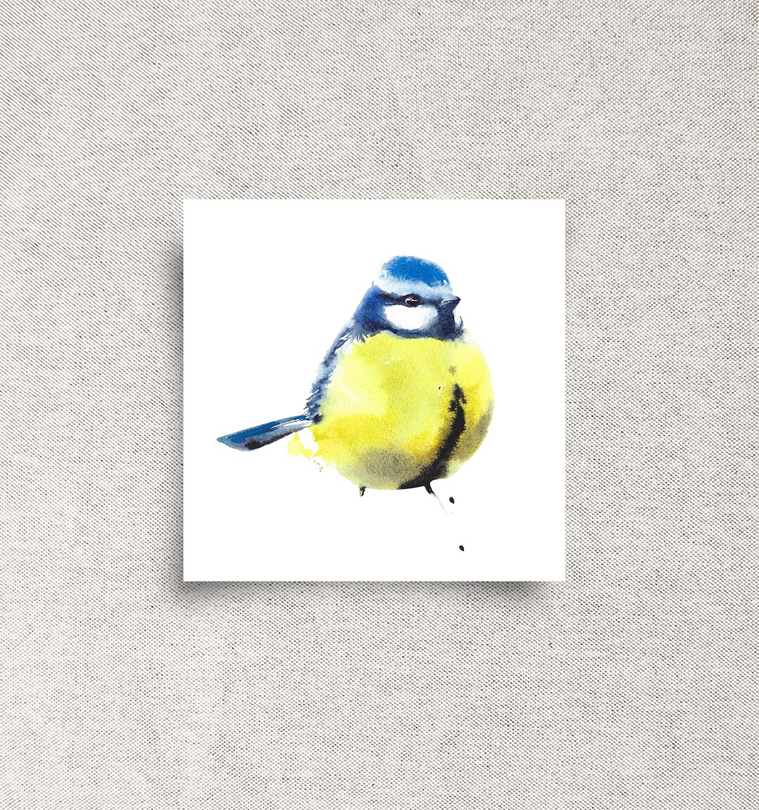 Blue Titmouse Bird ORIGINAL Watercolor Painting, Square Wall Art ...