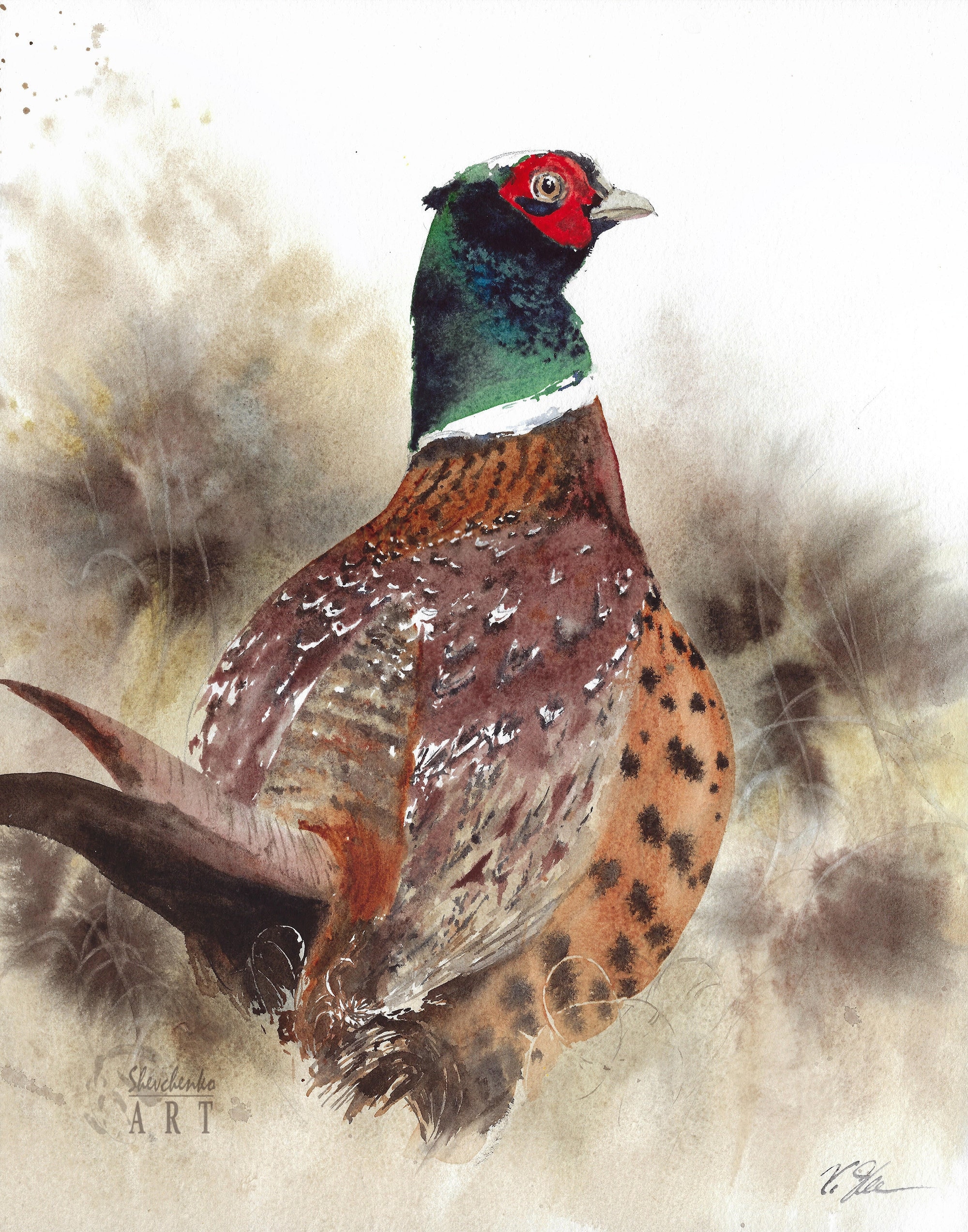 Pheasant Watercolor
