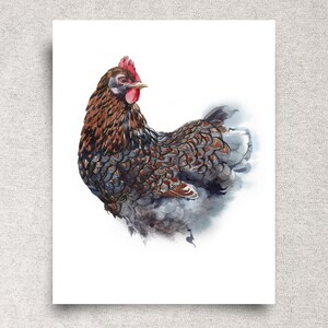 Chicken ORIGINAL Watercolor Painting, Hen Portrait, Farm Bird Wall Art ...