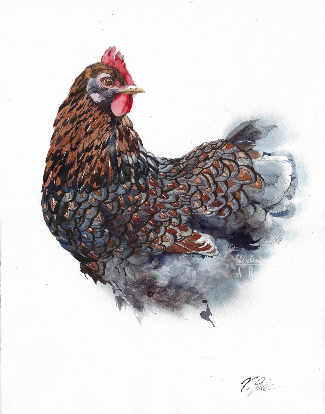 Chicken Original Watercolor Painting Hen Farm Bird Wall Art - Etsy