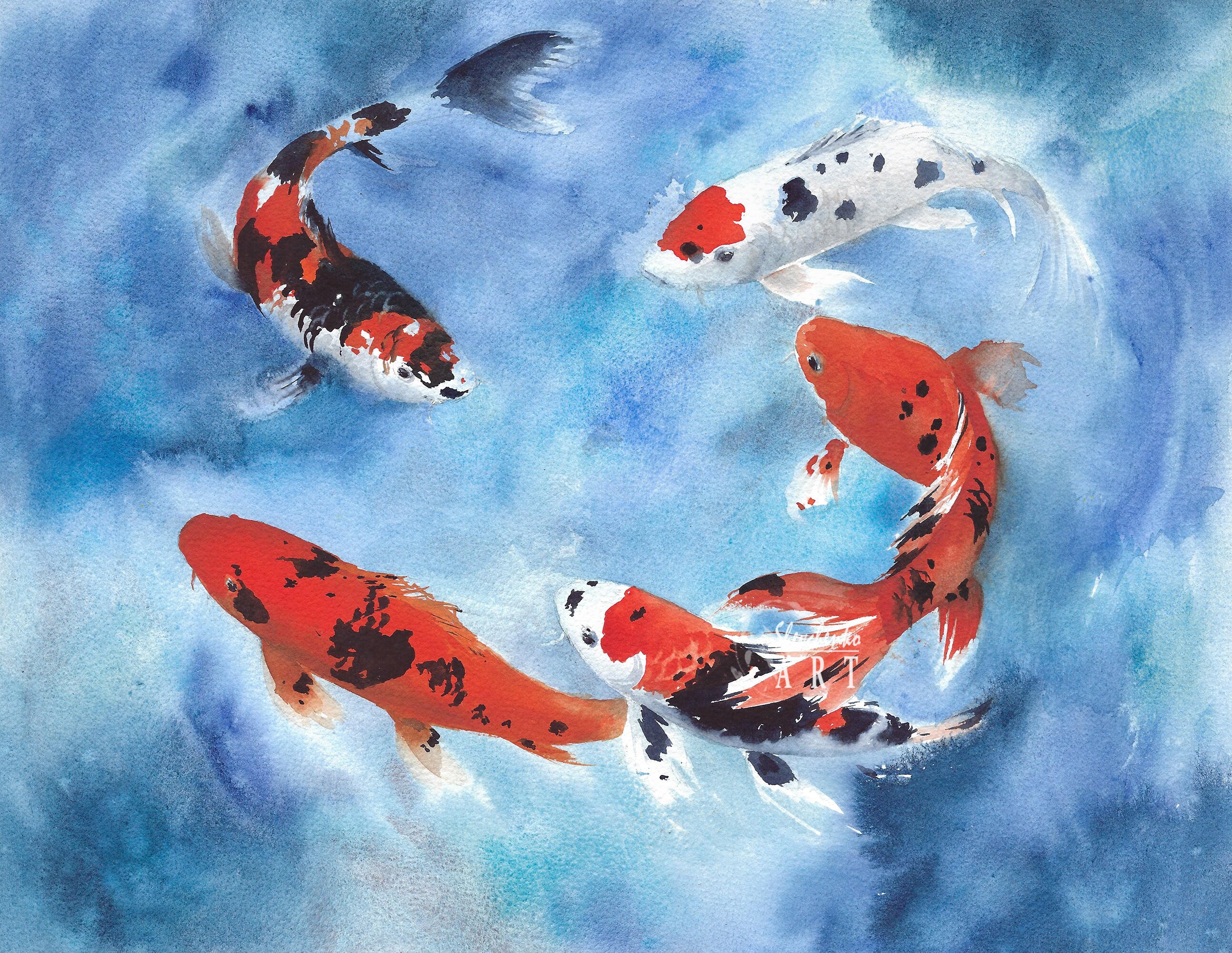 Koi Original Watercolor Painting Fish Wall Art Home Decor | Etsy