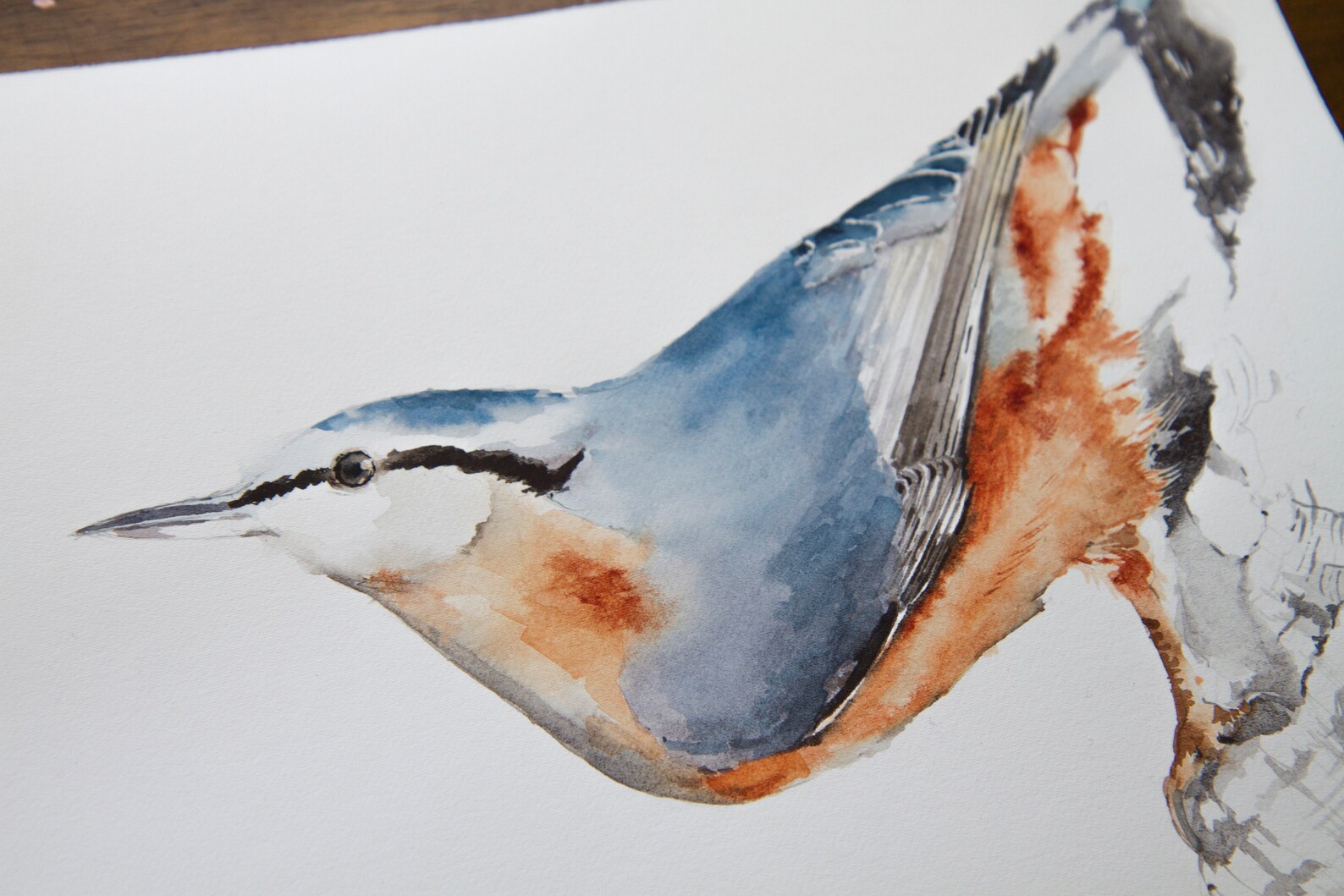 Red Breasted Nuthatch ORIGINAL Watercolor Painting - Backyard Bird Wall ...