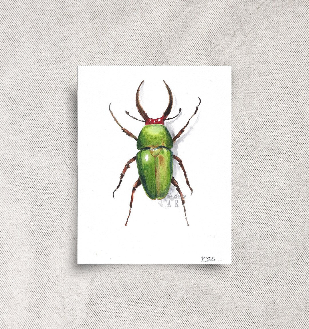 Stag Beetle ORIGINAL Watercolor Painting, Green Bug Wall Art, Insect ...