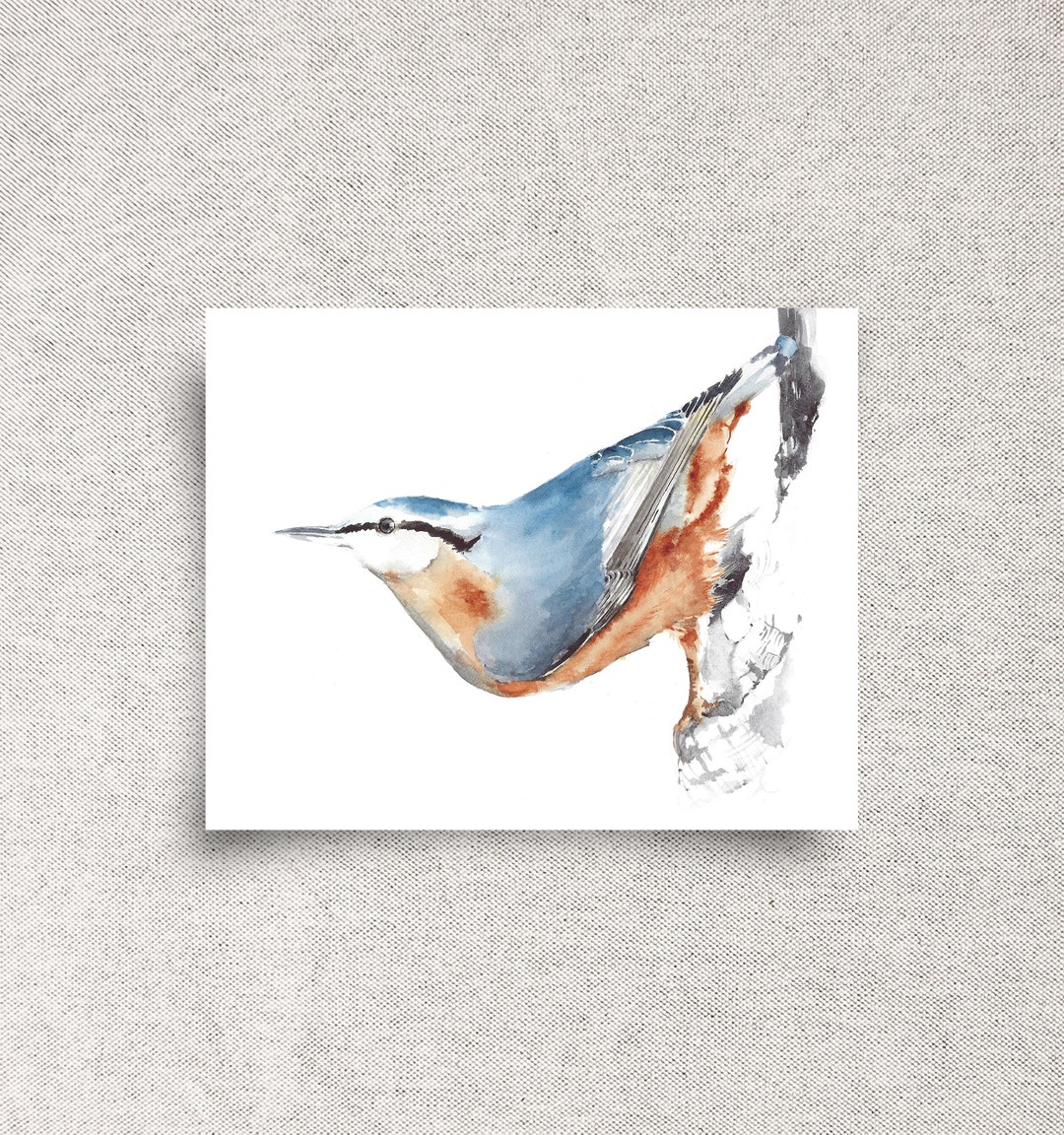Red Breasted Nuthatch ORIGINAL Watercolor Painting - Backyard Bird Wall ...