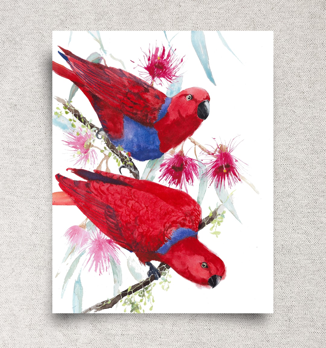 Australian Birds Original Watercolor Painting, Red Eclectus Parrots ...