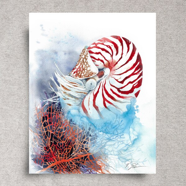 Nautilus Art - Etsy