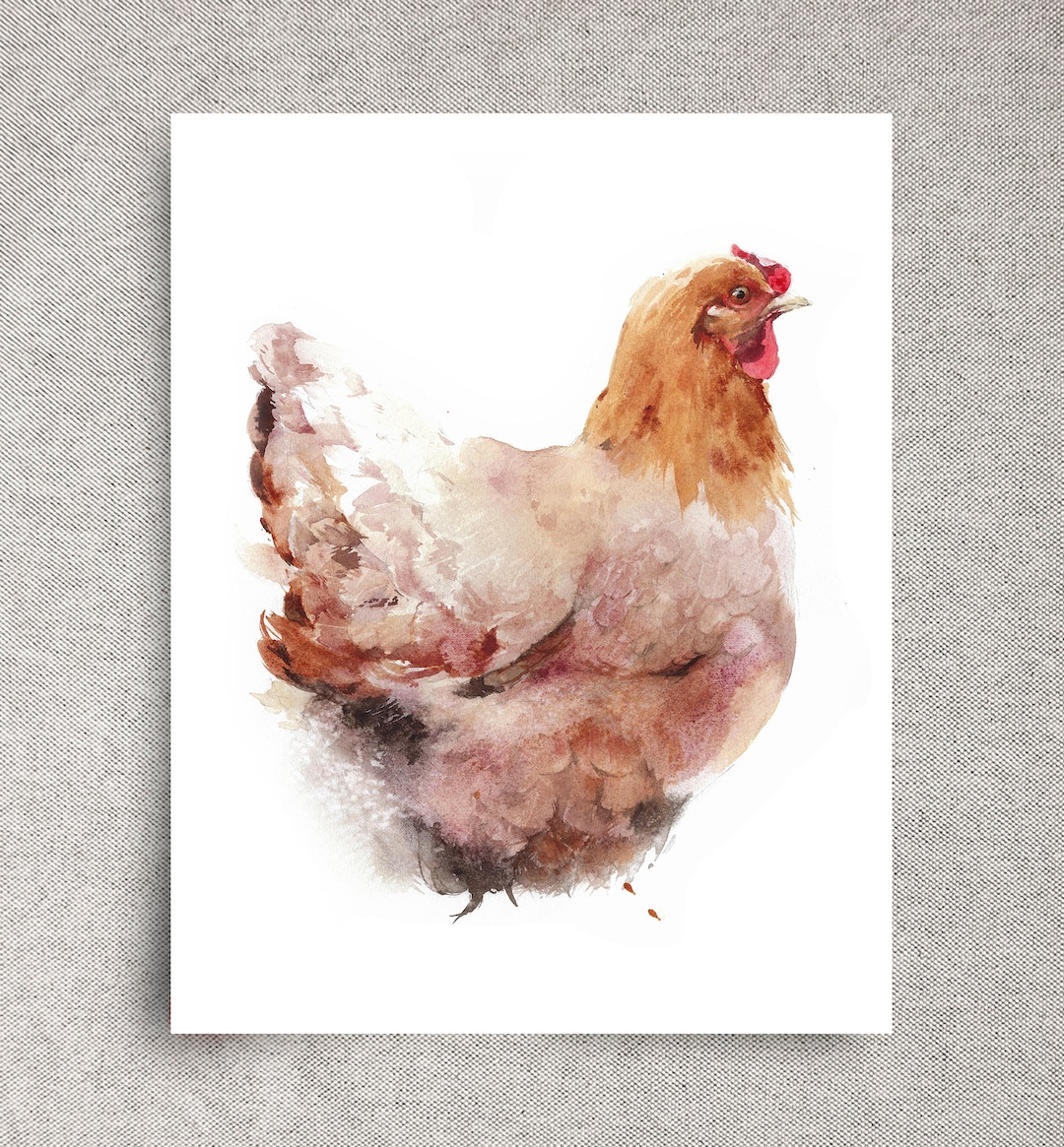 Chicken ORIGINAL Watercolor Painting, Buff Orpington Breed, Chicken ...