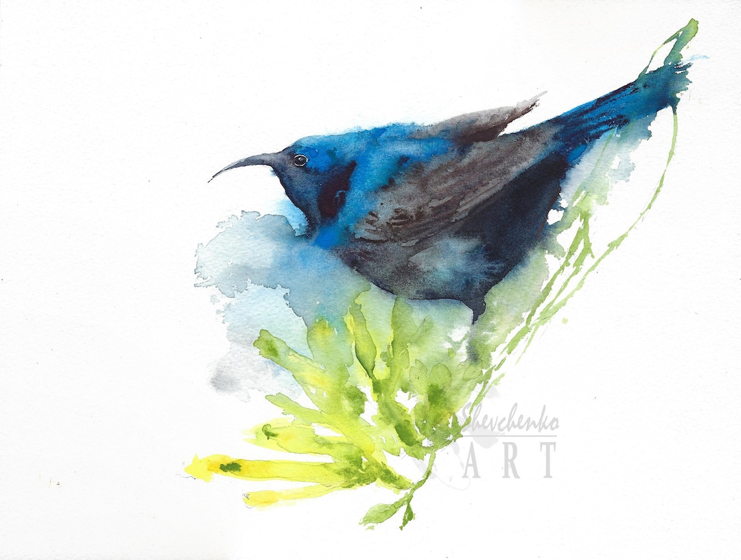 Tropical Bird ORIGINAL Watercolor Painting Sunbird Wall Art - Etsy