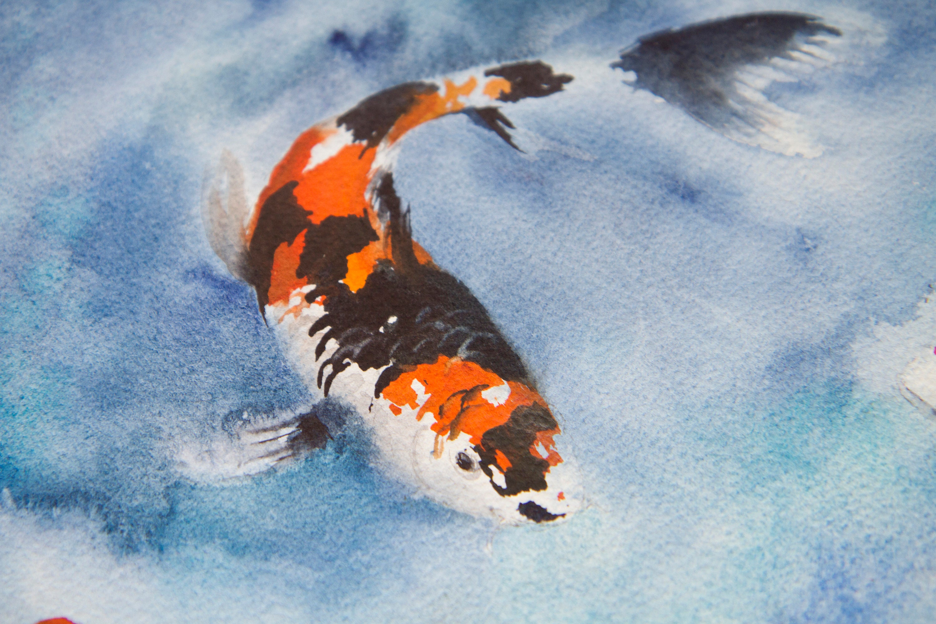 Koi Original Watercolor Painting Fish Wall Art Home Decor | Etsy