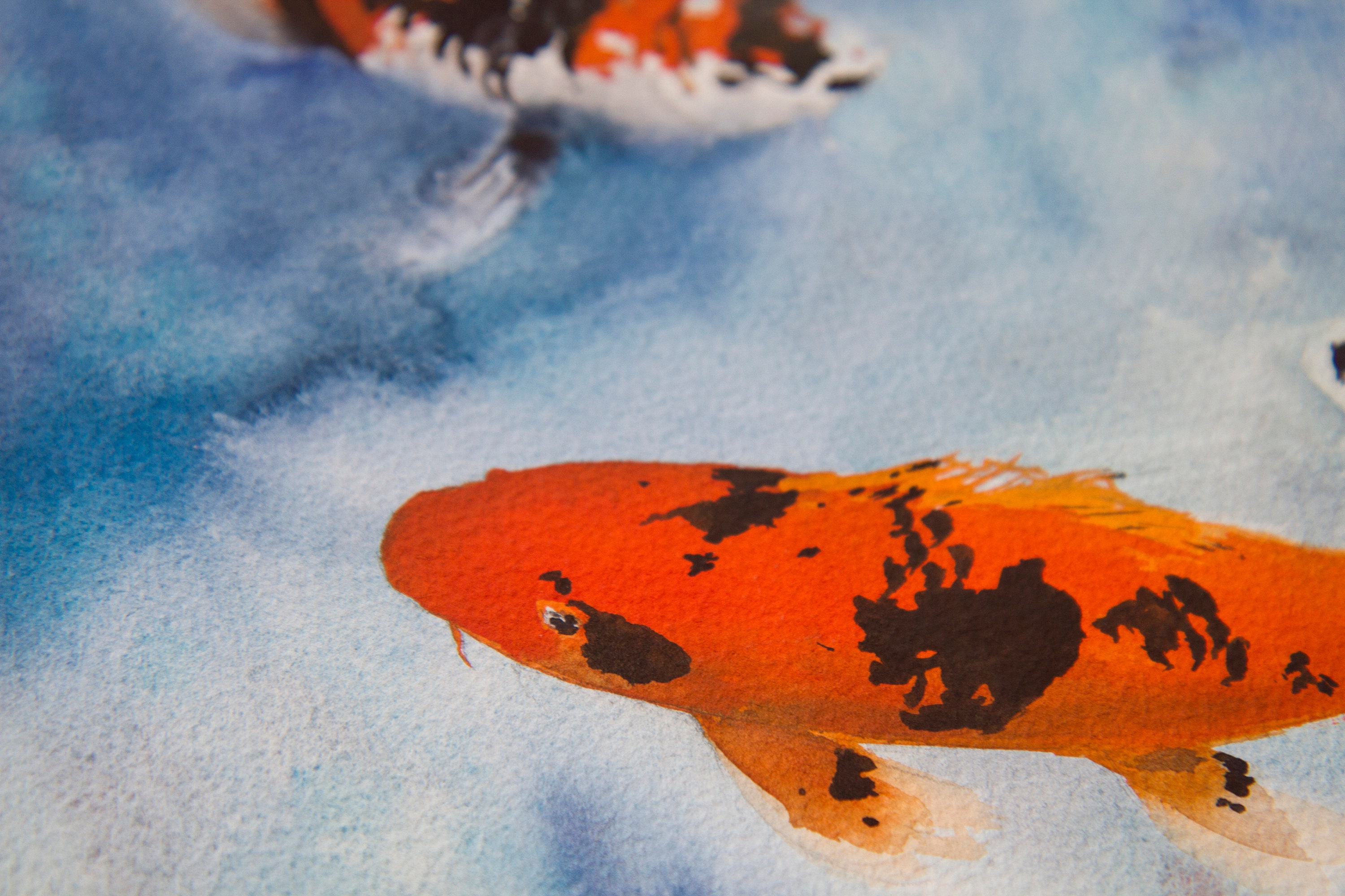 Koi Original Watercolor Painting Fish Wall Art Home Decor | Etsy