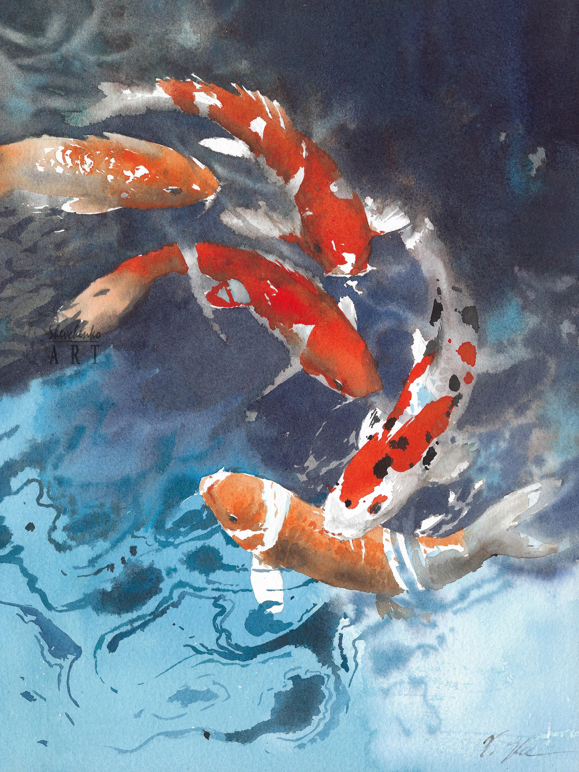 Koi Watercolor Paintings