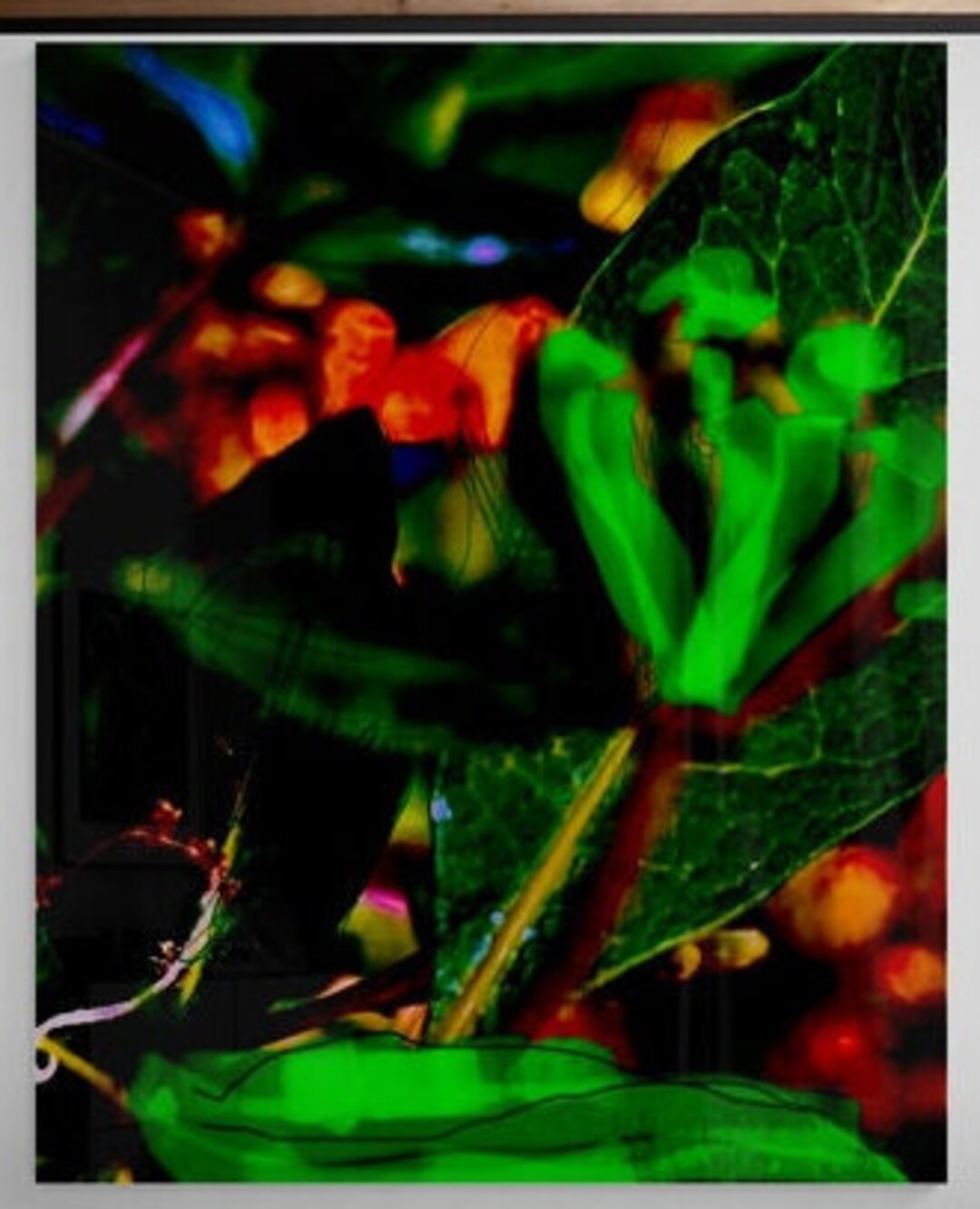 BLACK Magic" Art Photo Print by ME. LMAB From Rio De Janeiro, Brazil - Etsy