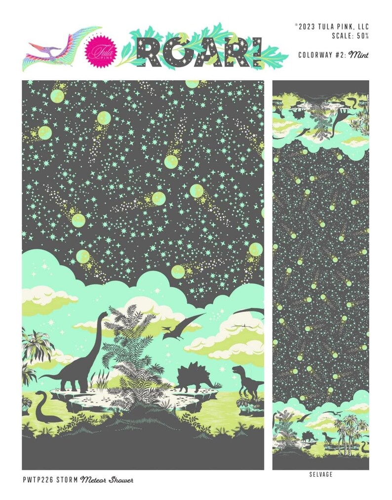 Tula Pink ROAR Fabric Collection, Meteor Shower, Mint or Blush ...