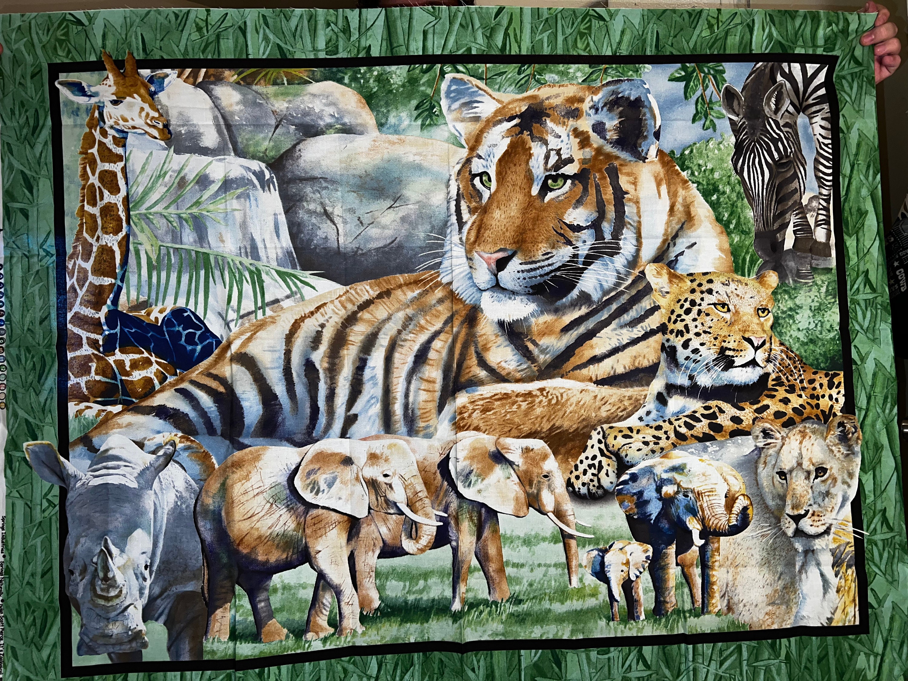 It's Zoological 6810 by Dylan Scott Pierce by Kara Collections, Springs ...