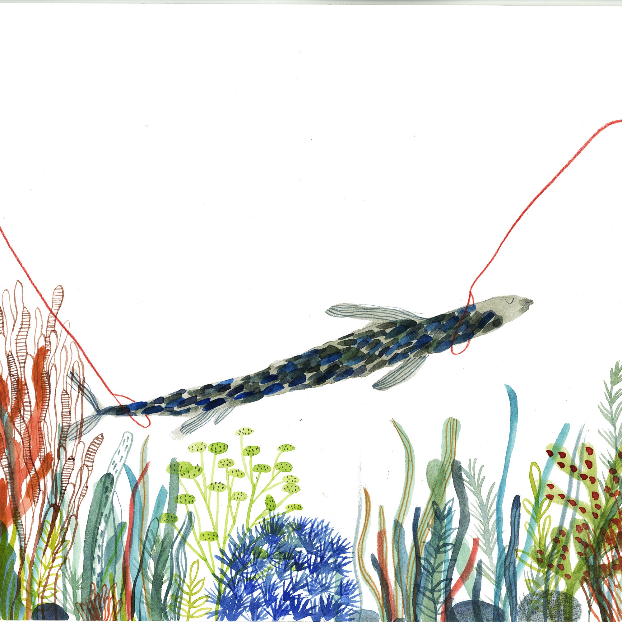 Original Drawing fish on a Leash - Etsy