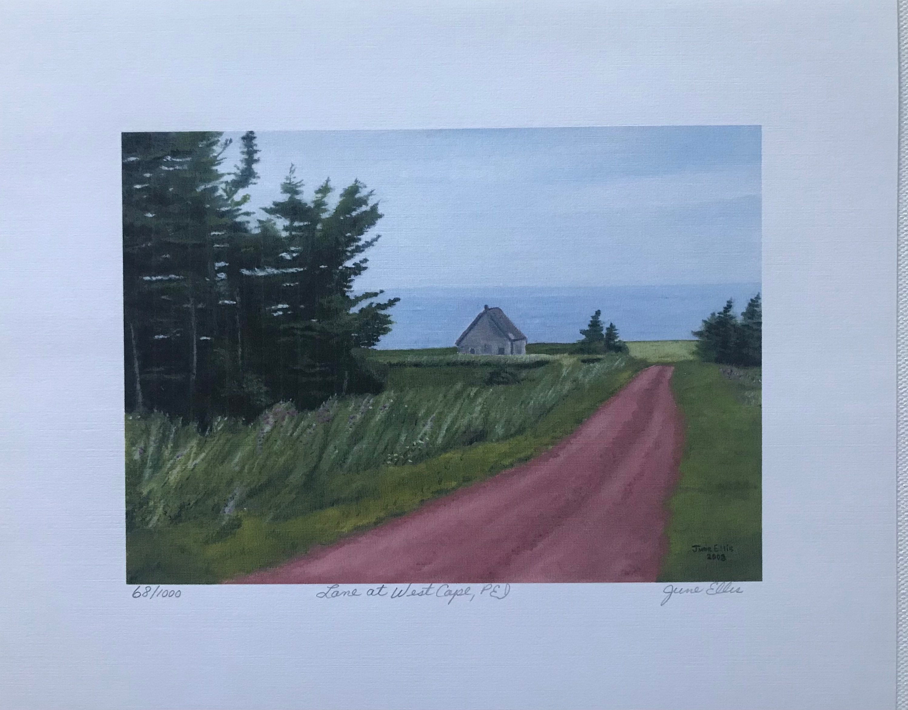 Art Print Lane at West Cape Prince Edward Island, Pastoral Country Lane ...