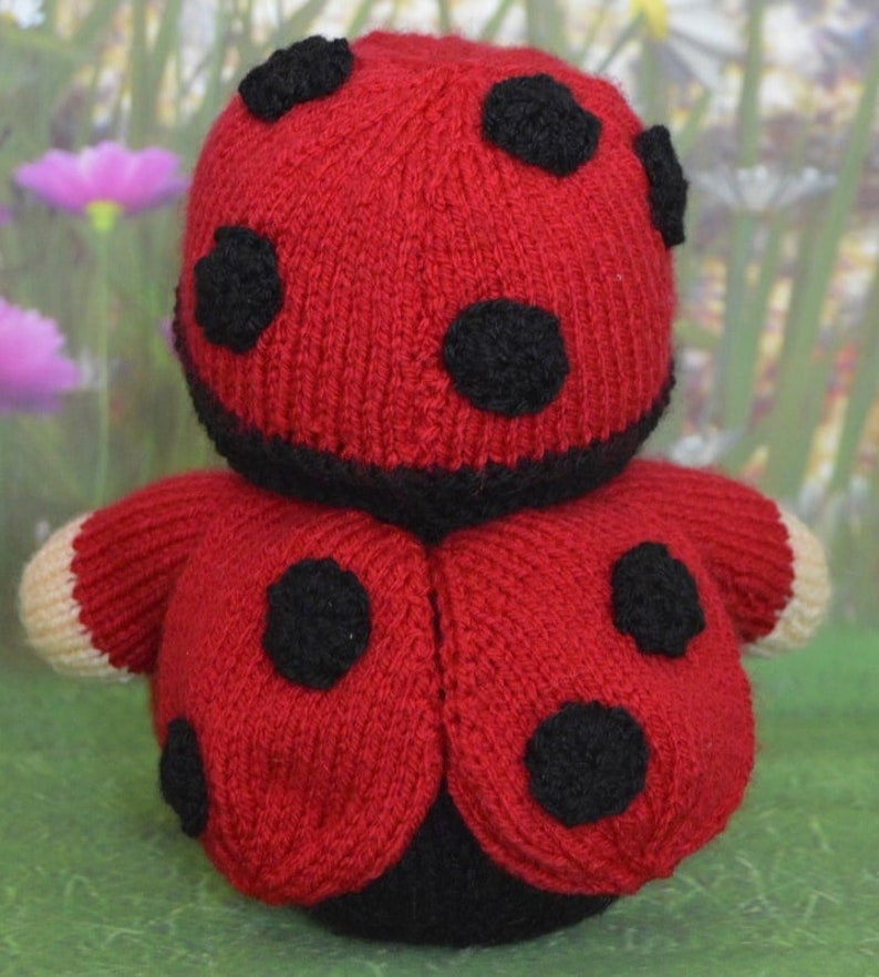 PDF KNITTING PATTERN Ladybird Baby Knitting Pattern Download - Etsy