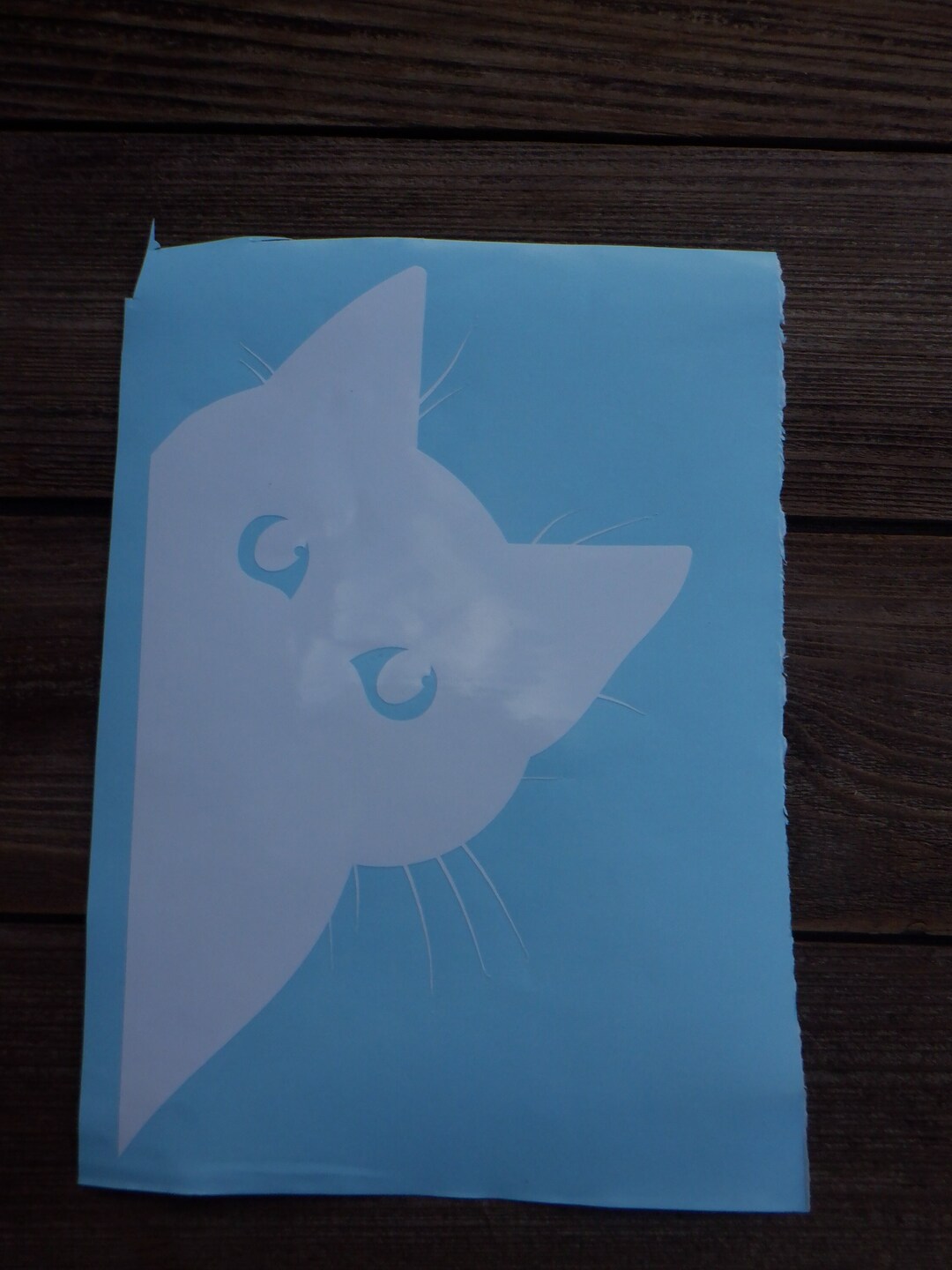 Peeking Cat Window Decal - Etsy