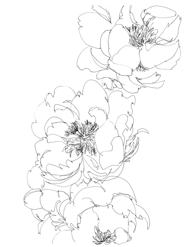 Printable Hand Drawn Peonies, Printable Artwork, Wall Decoration ...