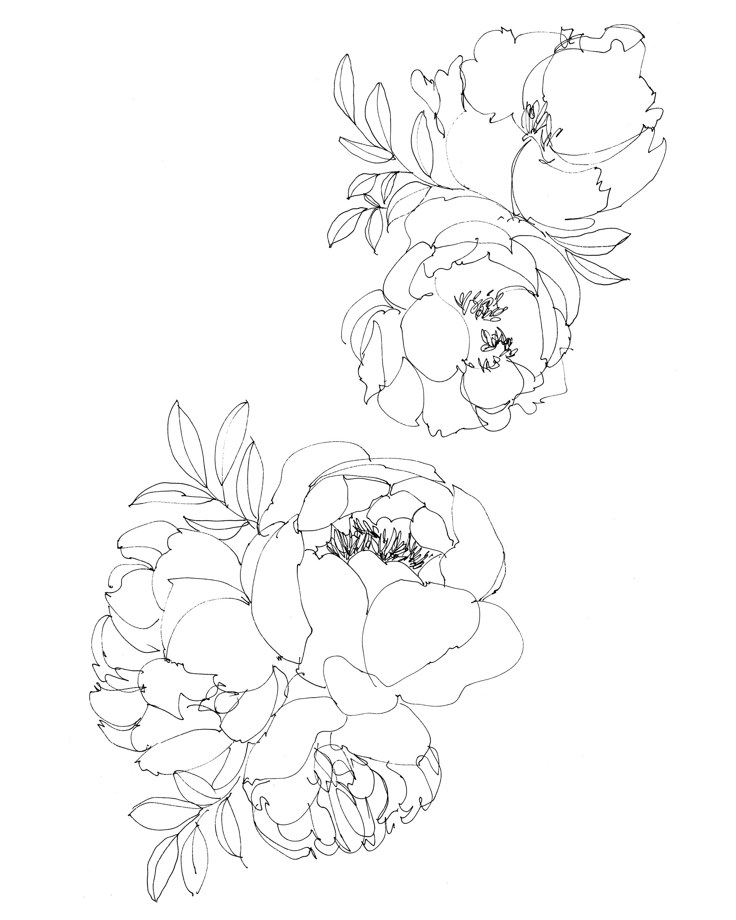 Minimalist Artwork, Simple Drawing, Flower Drawing, Wall Decor, Wall ...