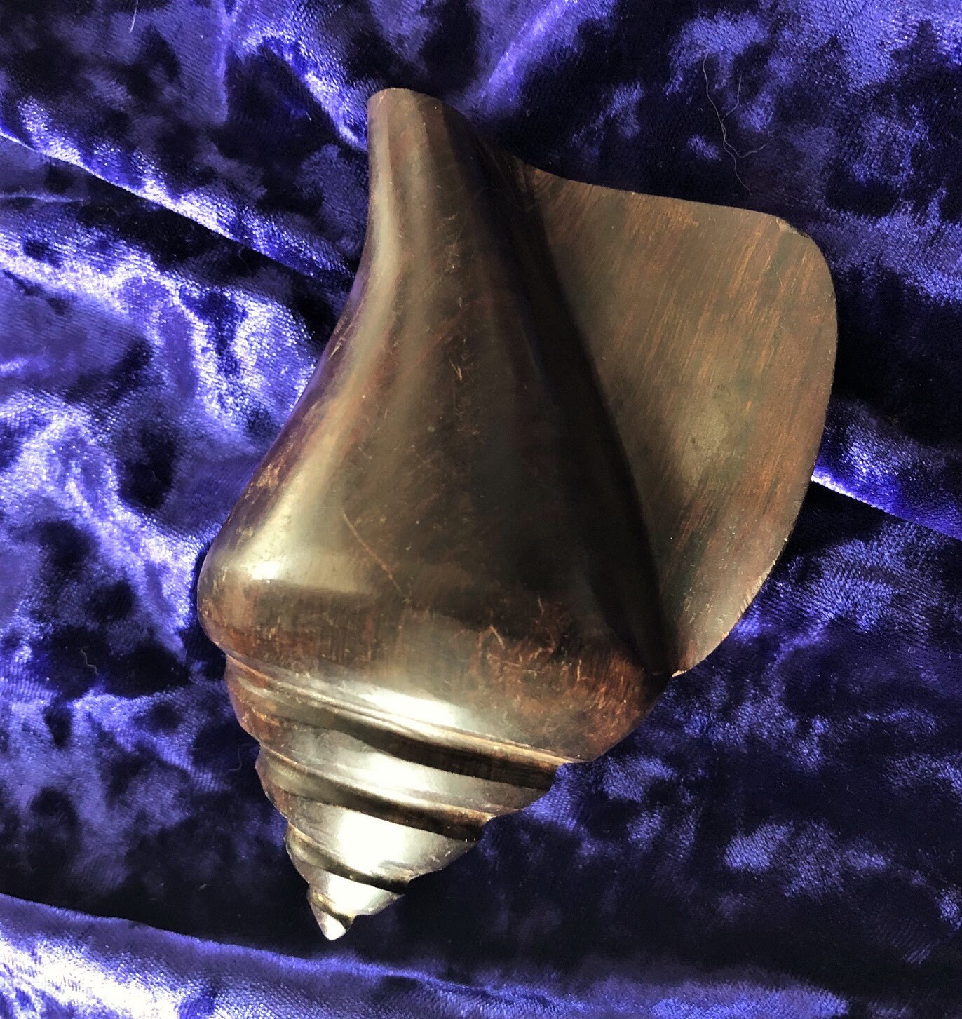 Wood Carving. Vintage Hand Carved Sea Shell / Conch Shell. - Etsy