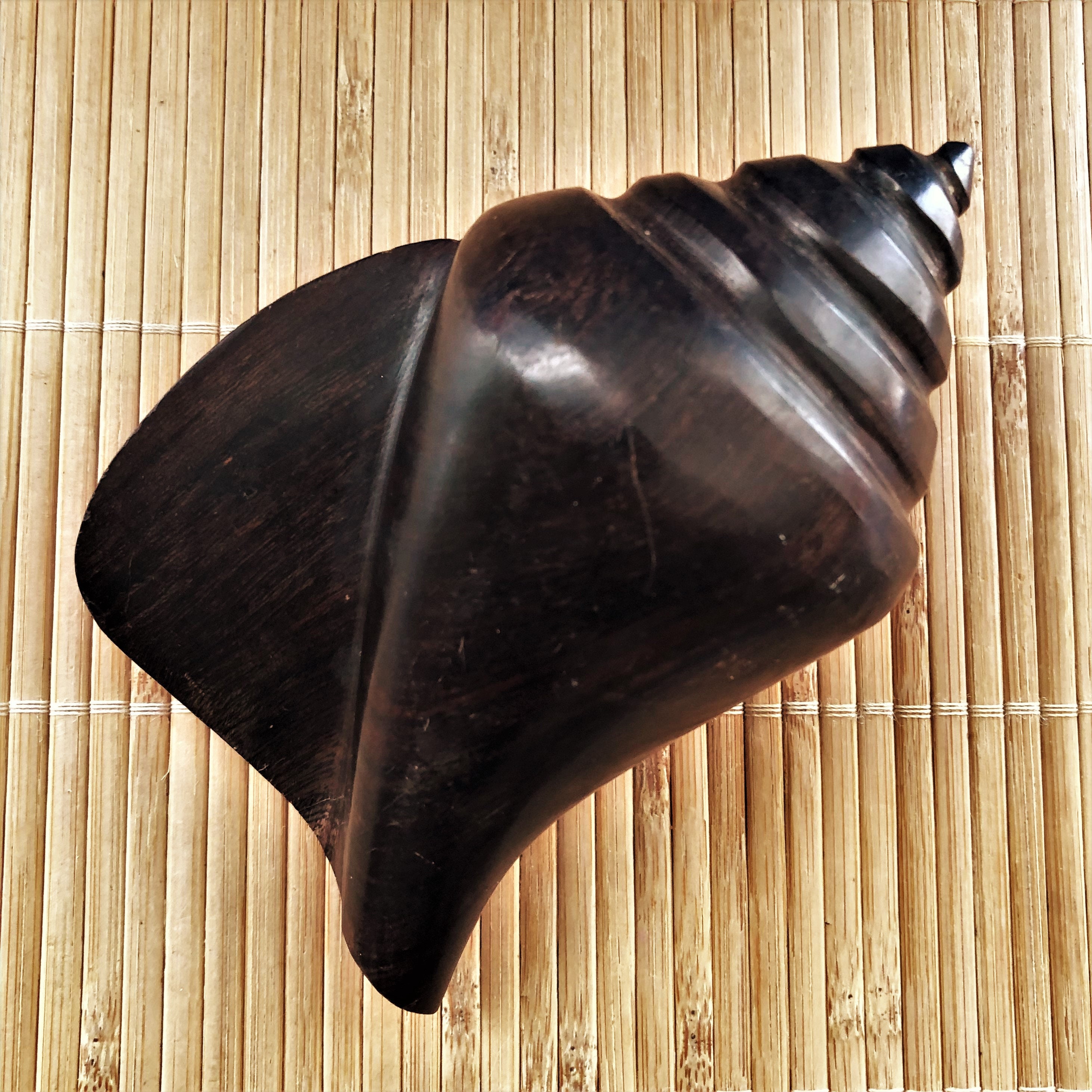 Wood Carving. Vintage Hand Carved Sea Shell / Conch Shell. - Etsy