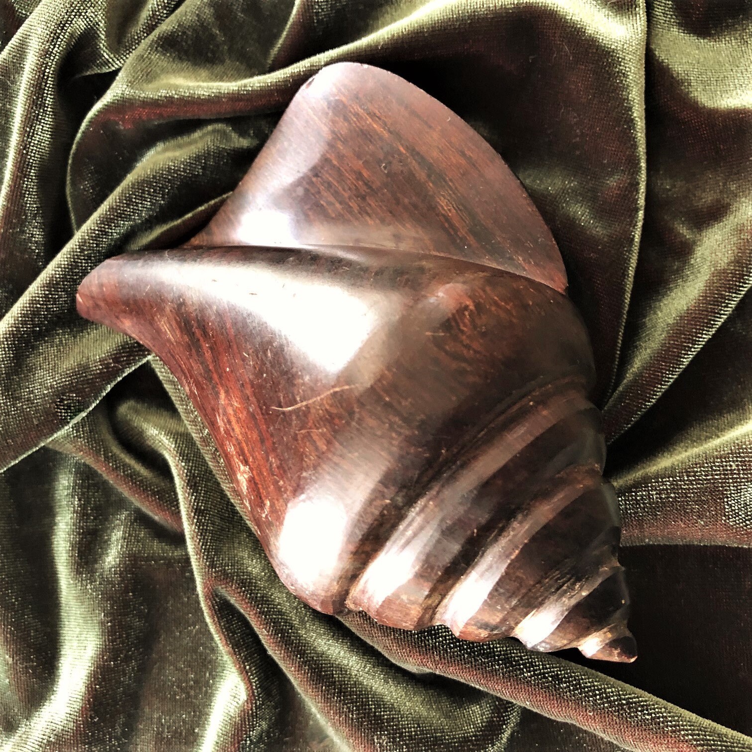 Wood Carving. Vintage Hand Carved Sea Shell / Conch Shell. - Etsy