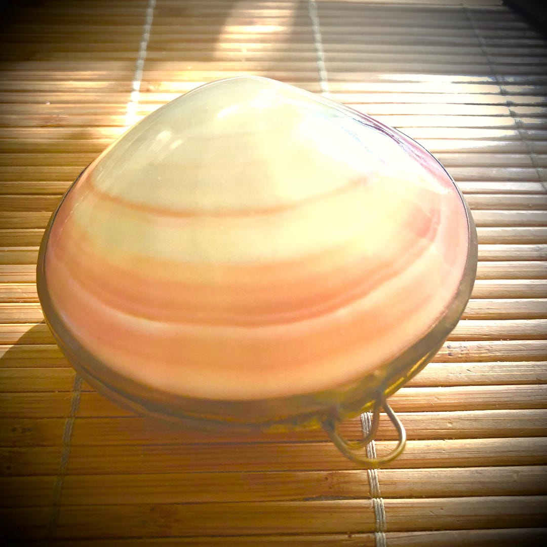 Trinket Box. Vintage Sea Shell Coin/jewelry Box. - Etsy