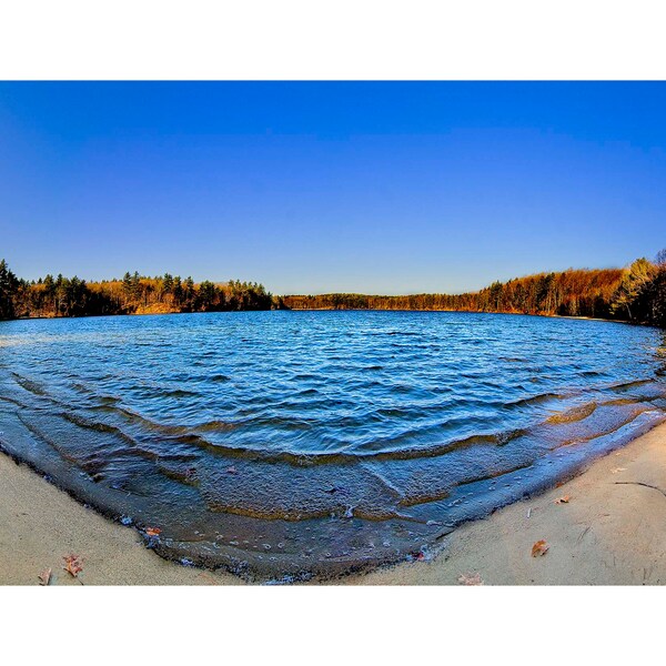 Walden Pond - Etsy