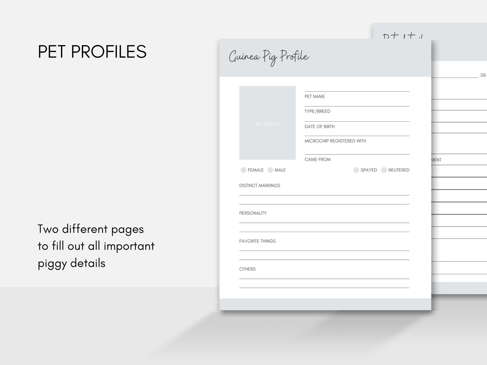 Guinea Pig Planner Printable Guinea Pig Care Binder Guinea - Etsy