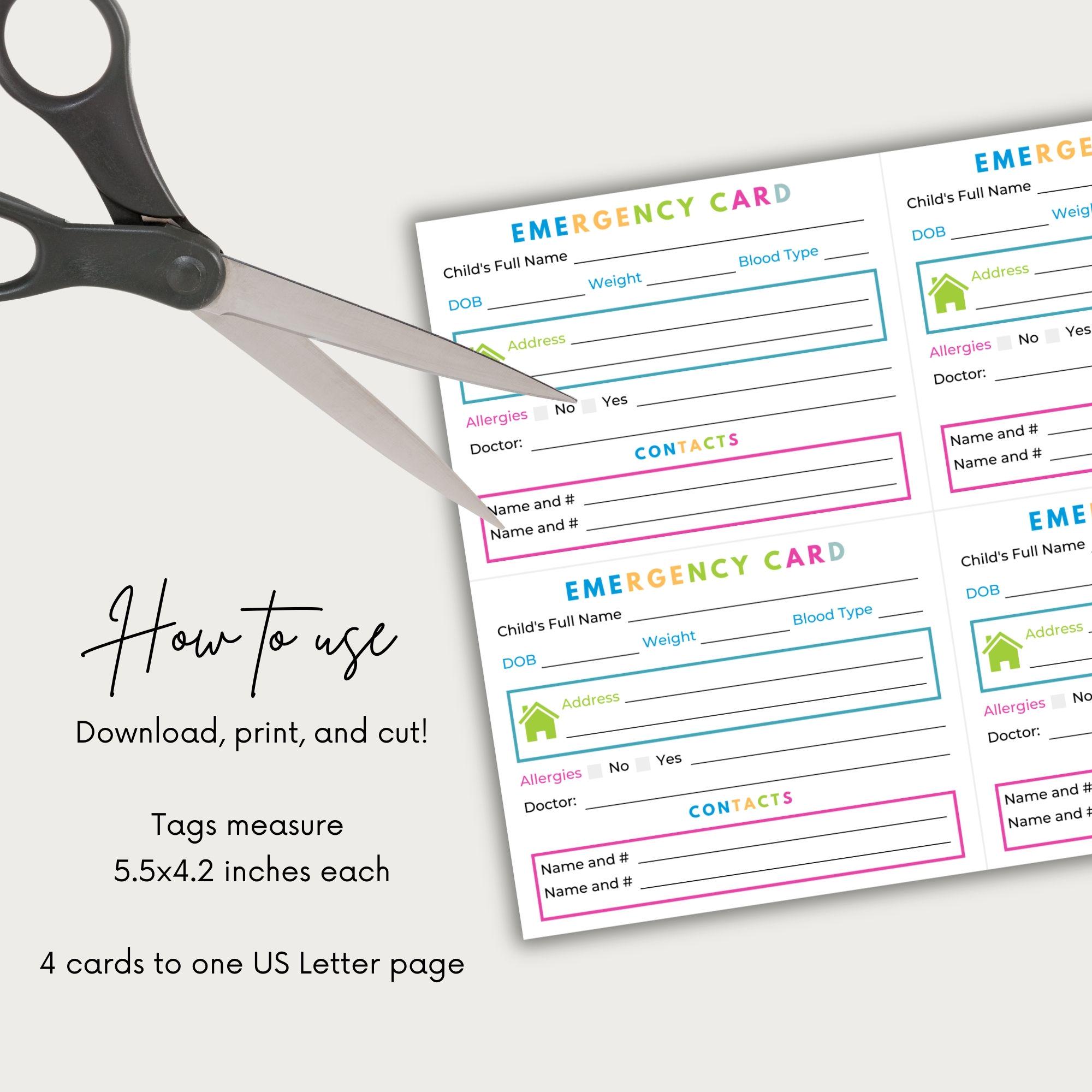 Daycare Emergency Card, Inhome Daycare Paperwork, Childcare Forms ...