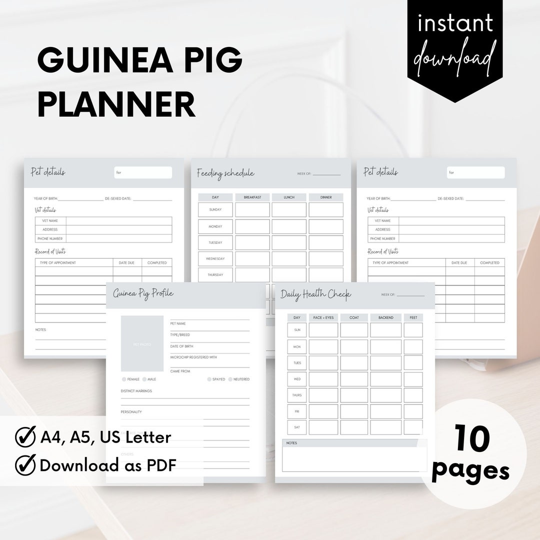 Guinea Pig Planner Printable, Guinea Pig Care Binder, Guinea Pig ...