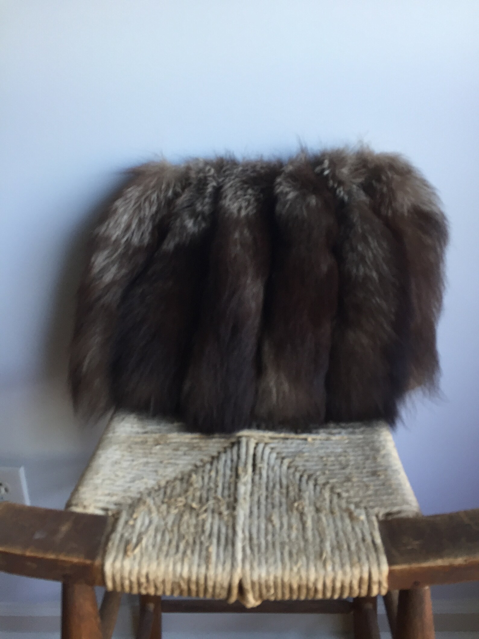 Early 20th Century Fox Hand Muff - Etsy