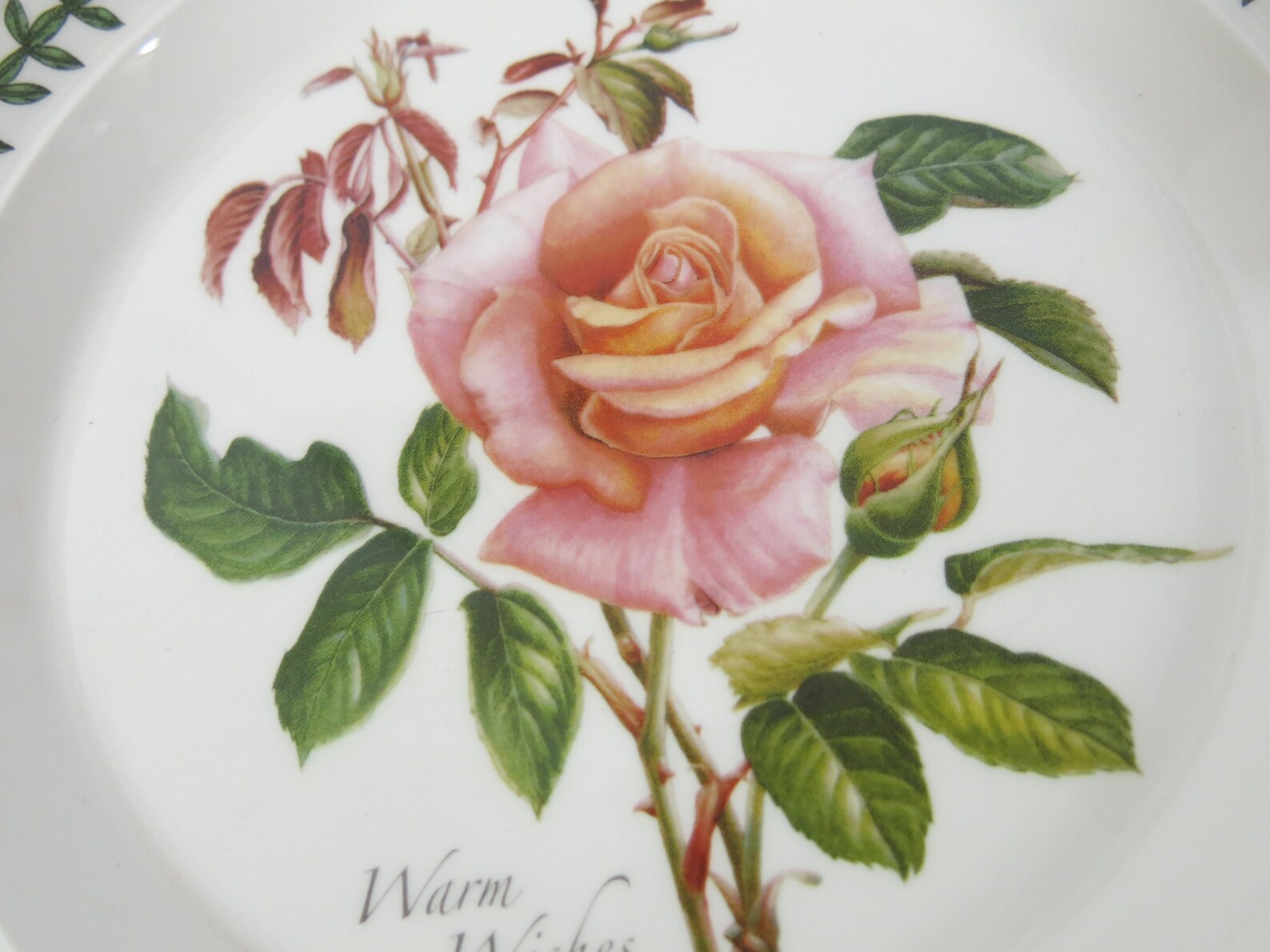 Portmeirion Plate Botanic Rose Plates Floral Plates Warm | Etsy
