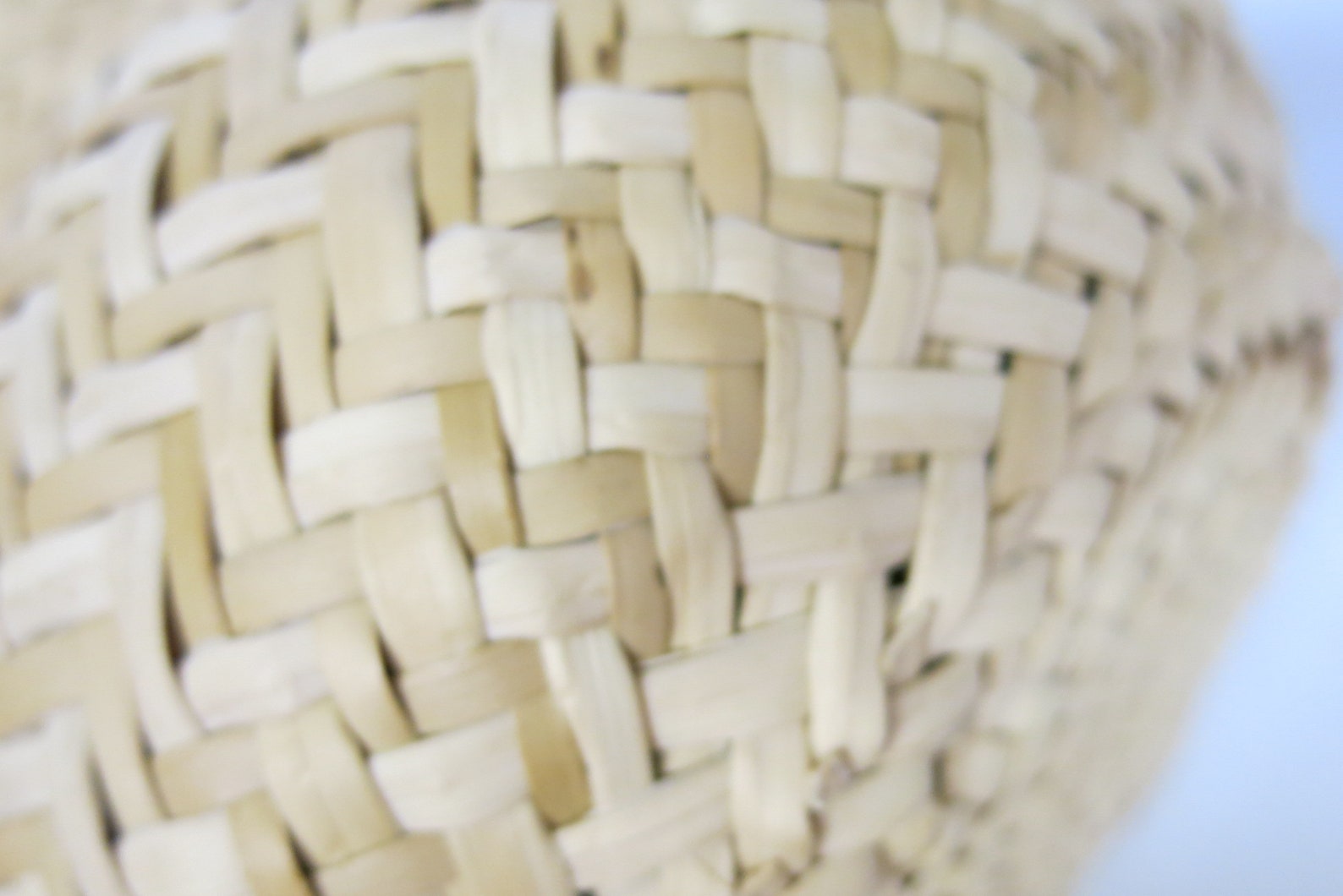 Tarahumara Woven Yucca Basket: Native American Decor - Etsy