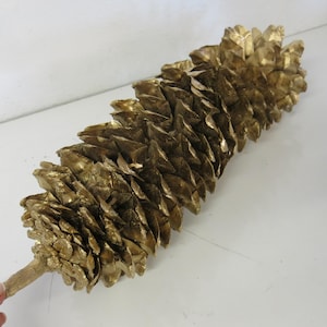 Gold Pine Cone Sugar Pine Cone Extra Large Rare Giant Pine Cone 18" Christmas - Etsy
