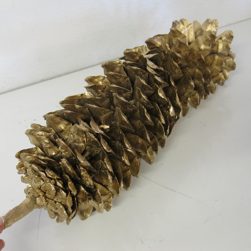 Extra Large Pine Cones - Etsy