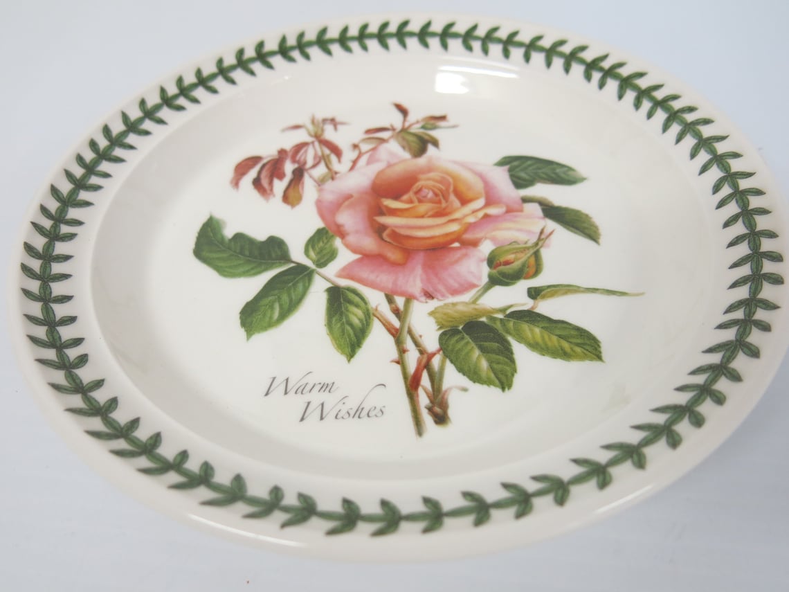 Portmeirion Plate Botanic Rose Plates Floral Plates Warm | Etsy
